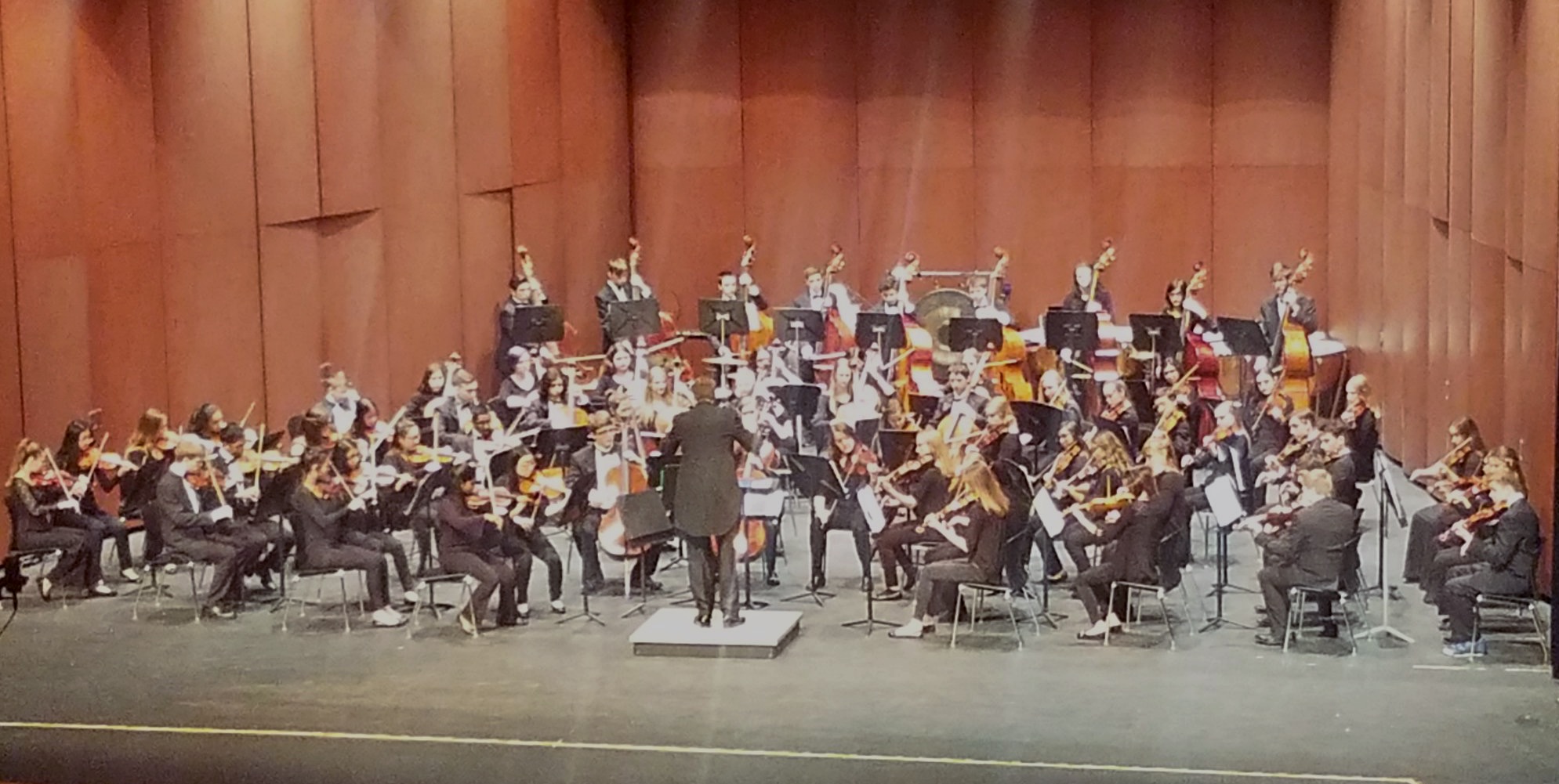 Concert Orchestra – Lake Zurich High School Orchestra